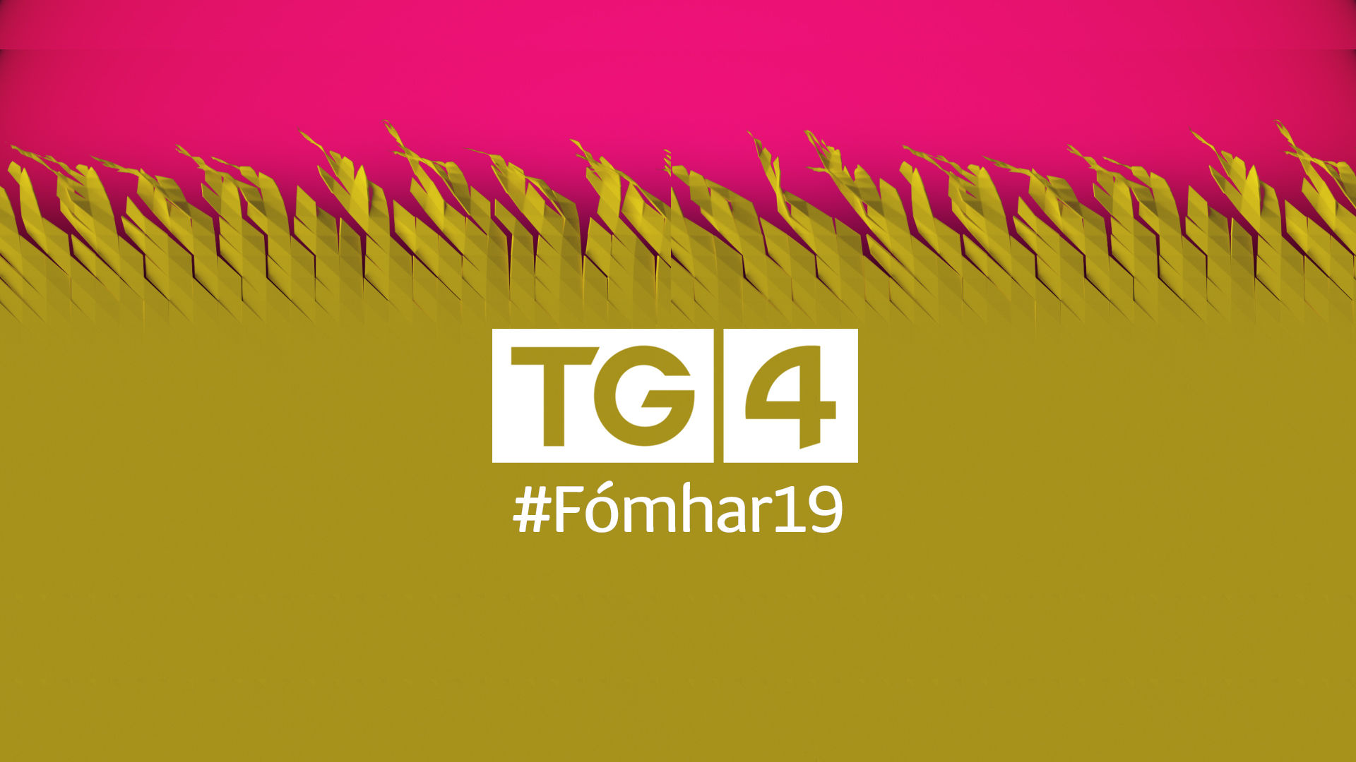 Irish Television Channel, Súil Eile | TG4