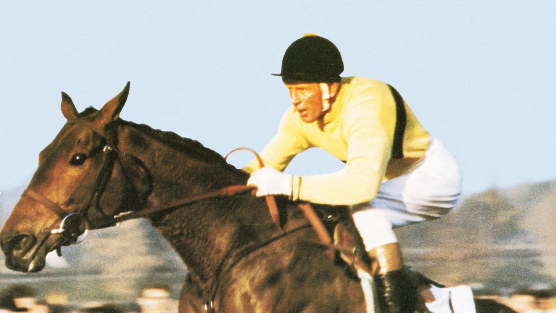 TG4 | New National Hunt Racing Series on TG4 | 2021 | Press Releases ...