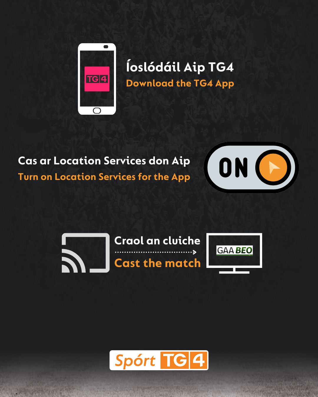 TG4 | Frequent Questions | Frequently Asked Questions | Information ...
